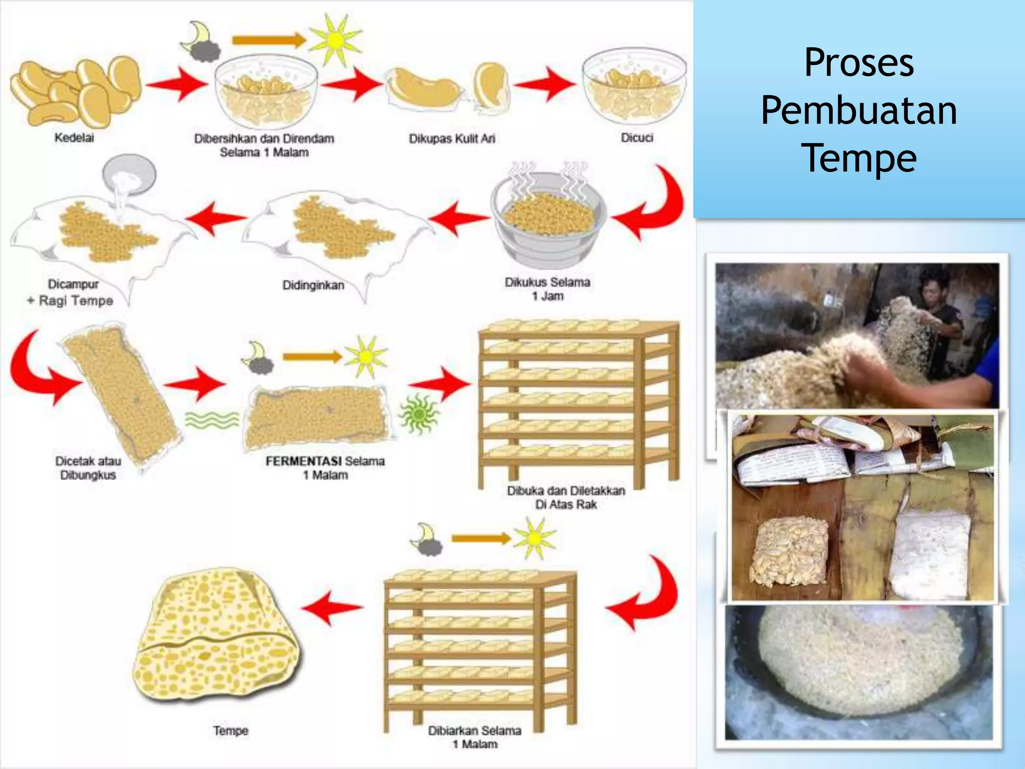 Proses Pembuatan Tempe | PPTX