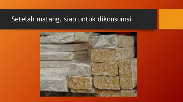 Proses Pembuatan Tempe Sanan Malang | PPT