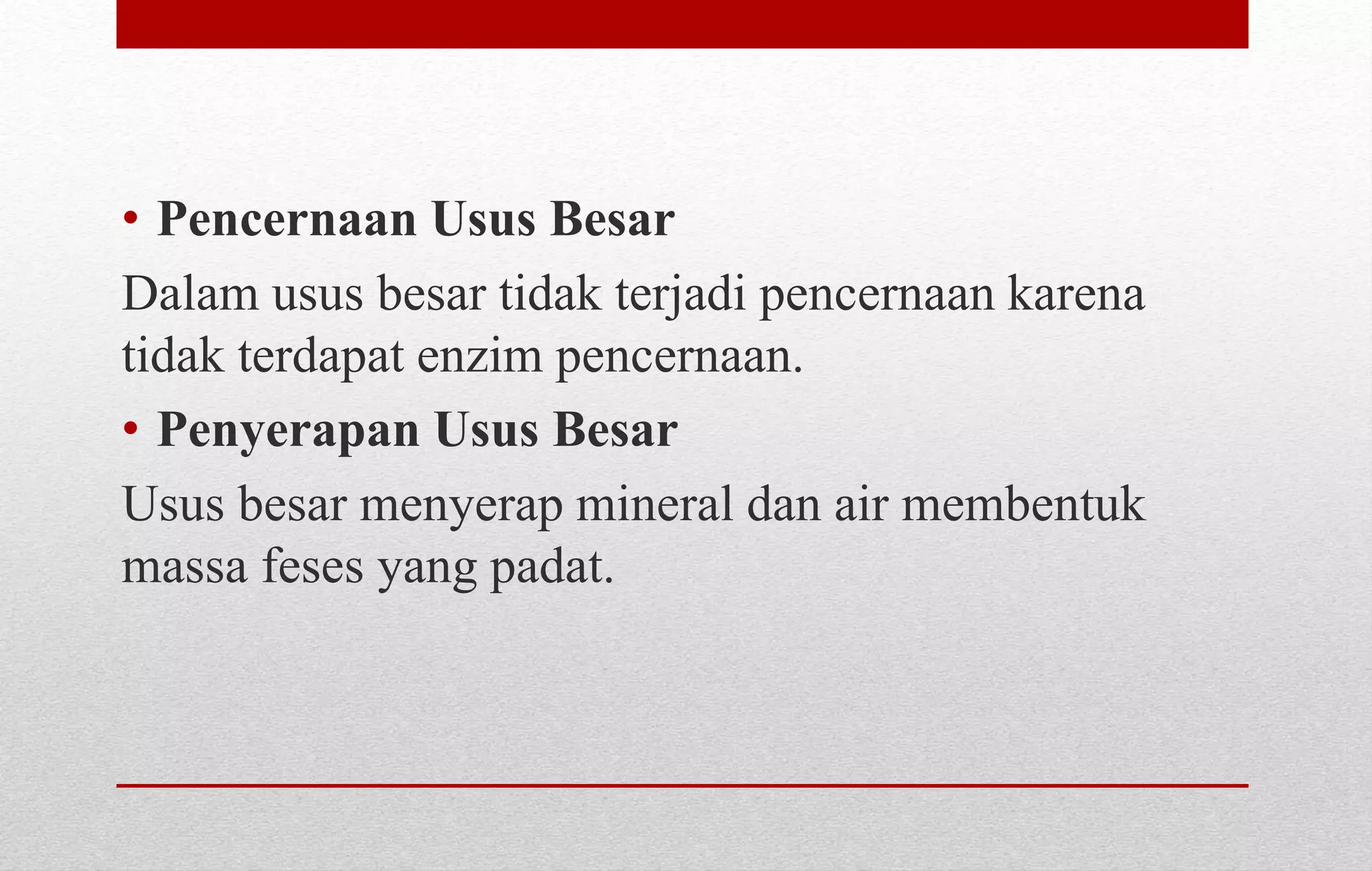 Proses pencernaan pada usus besar | PPTX