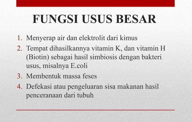Proses pencernaan pada usus besar | PPTX