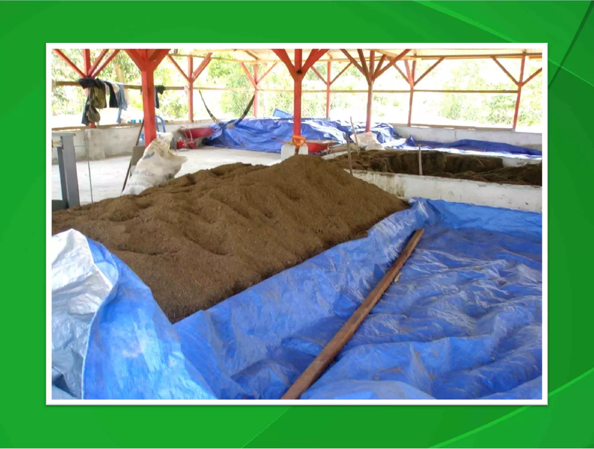 Proses Pengolahan Pupuk Organik Padat dan Cair | PDF