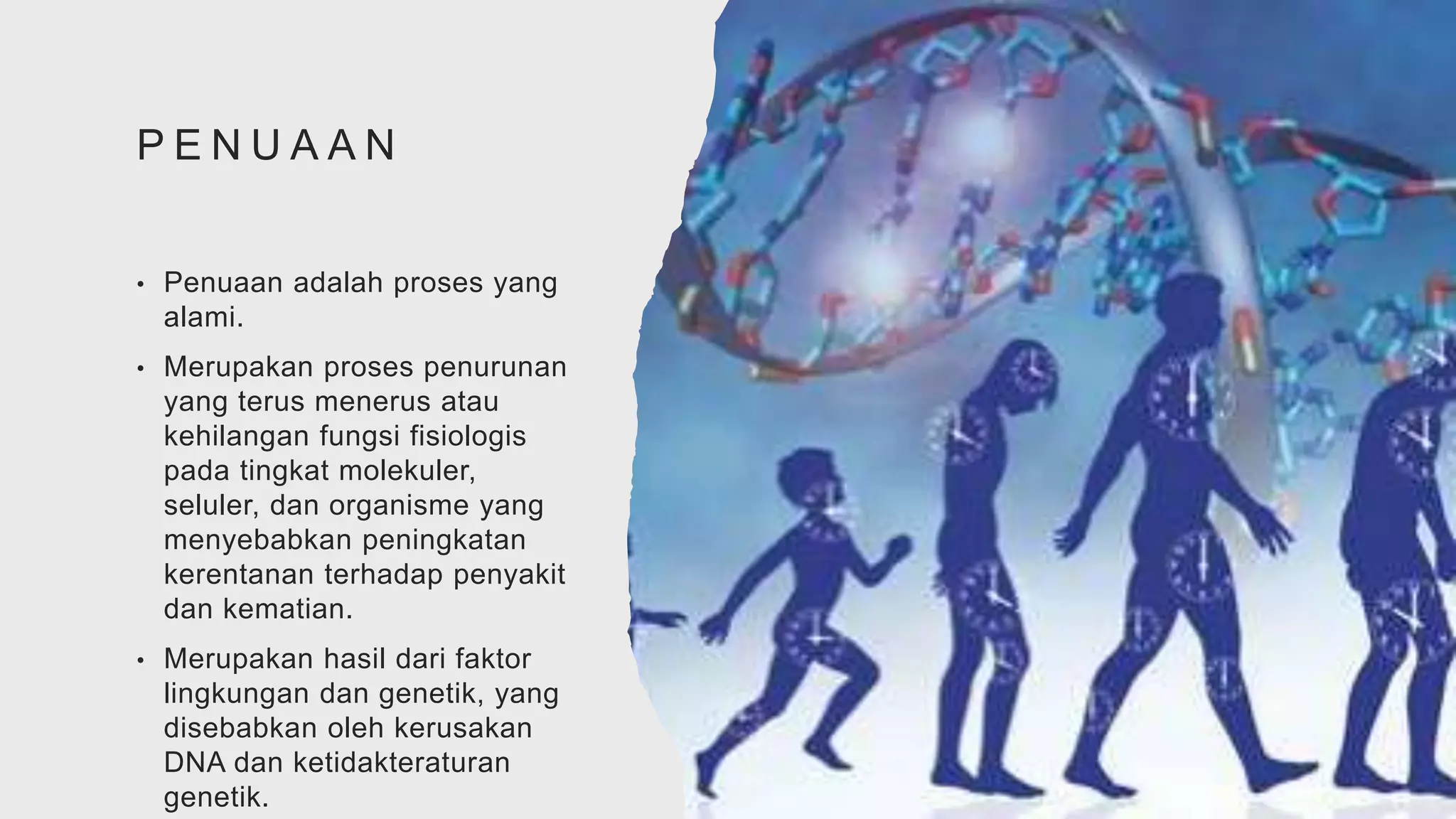 Proses Penuaan dan Perawatan Lansia | PPTX