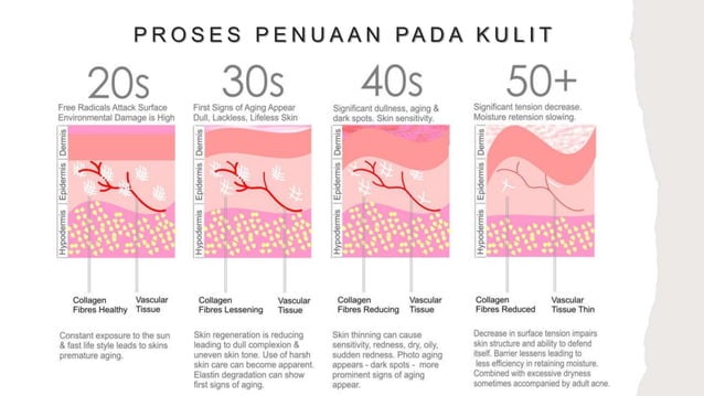 Proses Penuaan dan Perawatan Lansia | PPTX