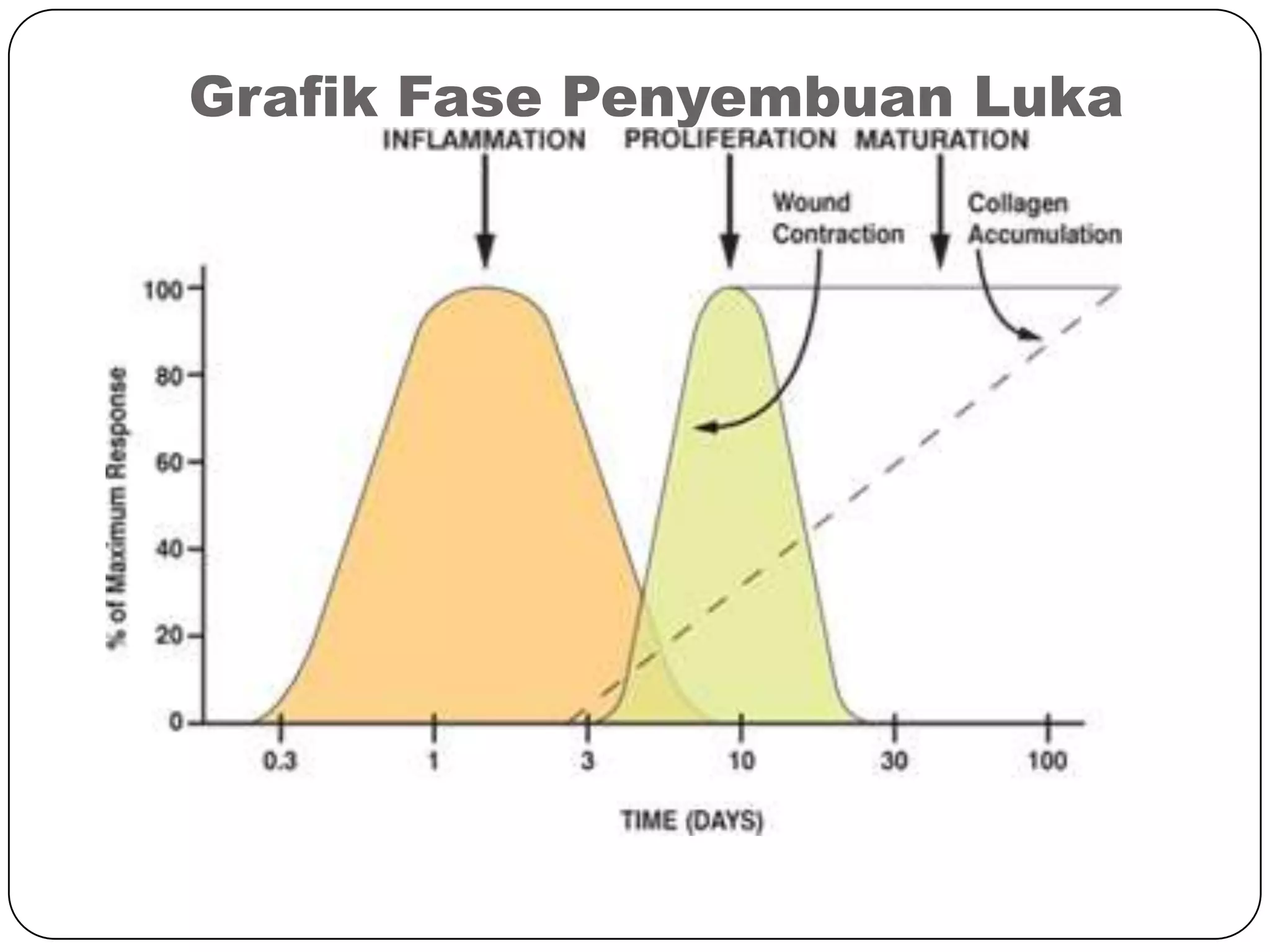 Proses penyembuhan luka | PPTX