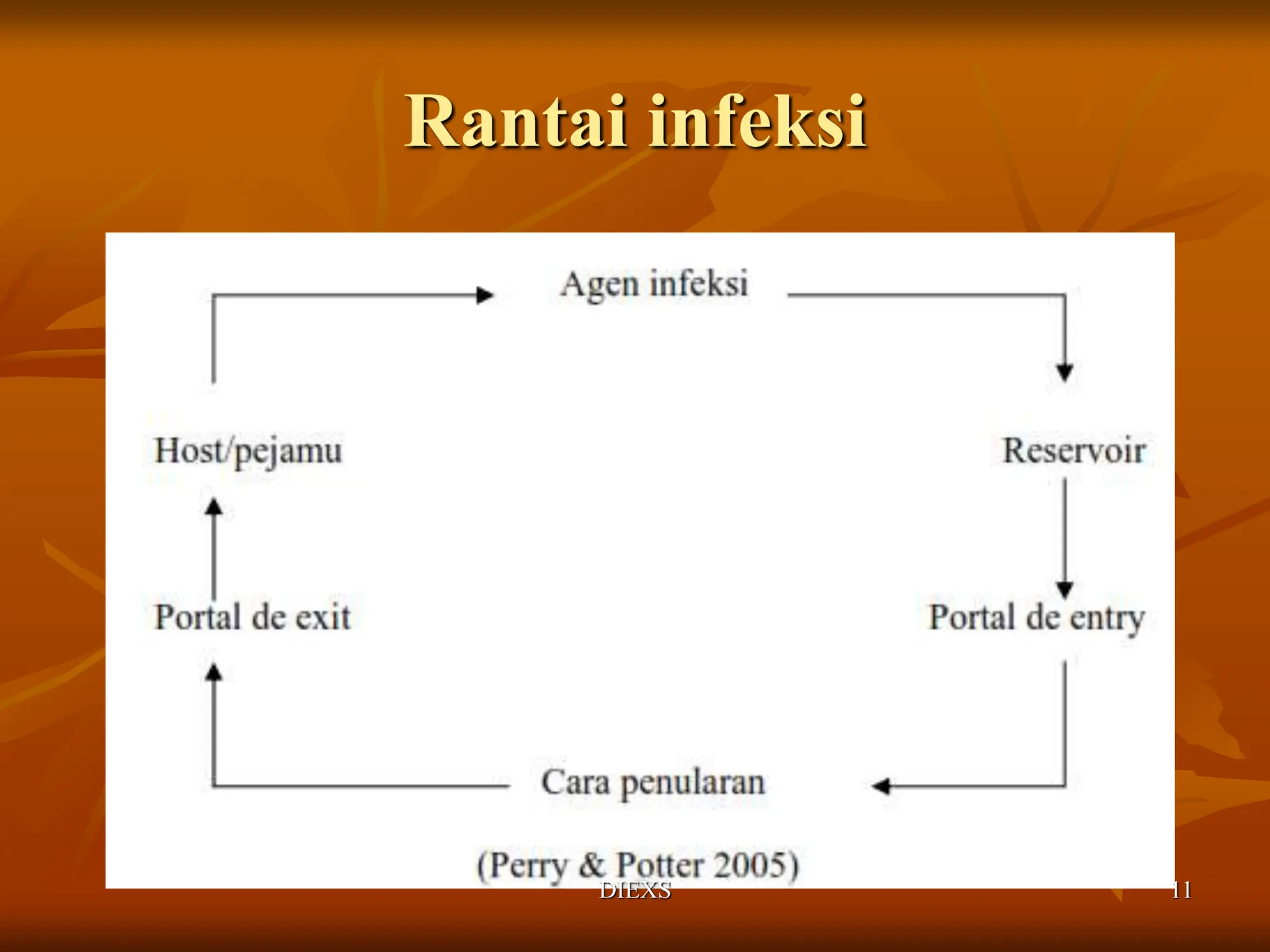 proses peradangan pada sistem tubuh manusia | PPT