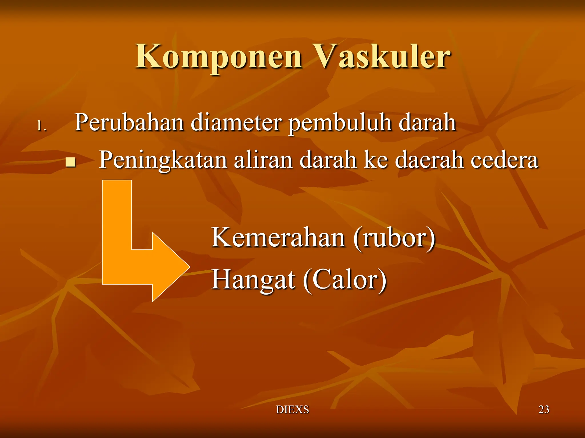 proses peradangan pada sistem tubuh manusia | PPT