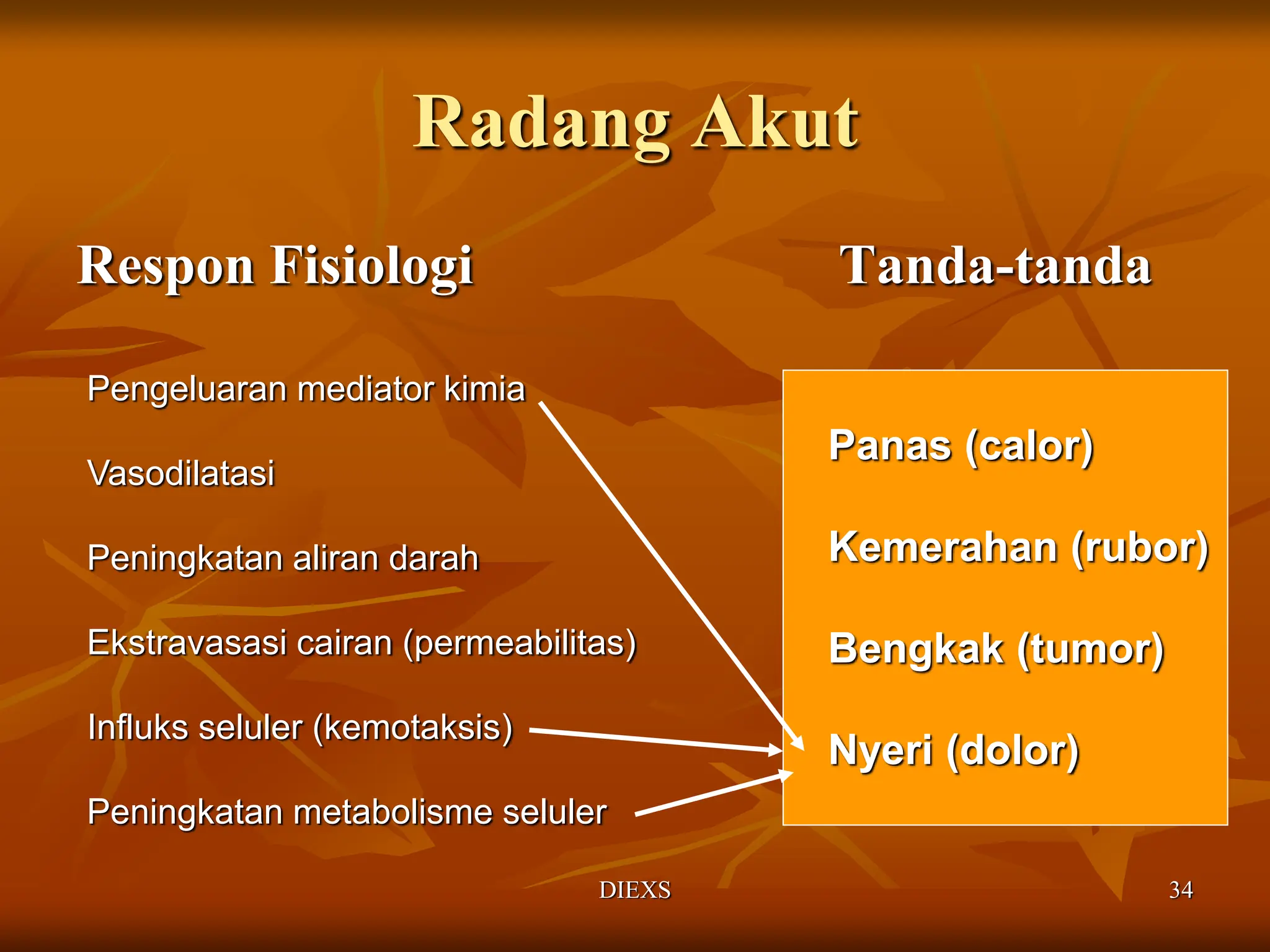 proses peradangan pada sistem tubuh manusia | PPT