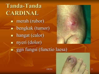 proses peradangan pada sistem tubuh manusia | PPT