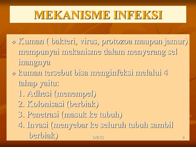 proses peradangan pada sistem tubuh manusia | PPT