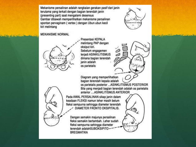 Proses persalinan normal | PPTX