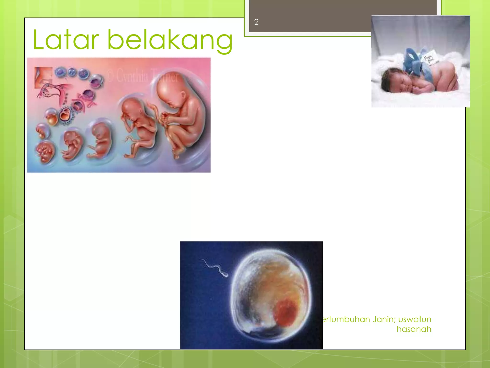 Proses pertumbuhan janin (fetal periode) | PPT