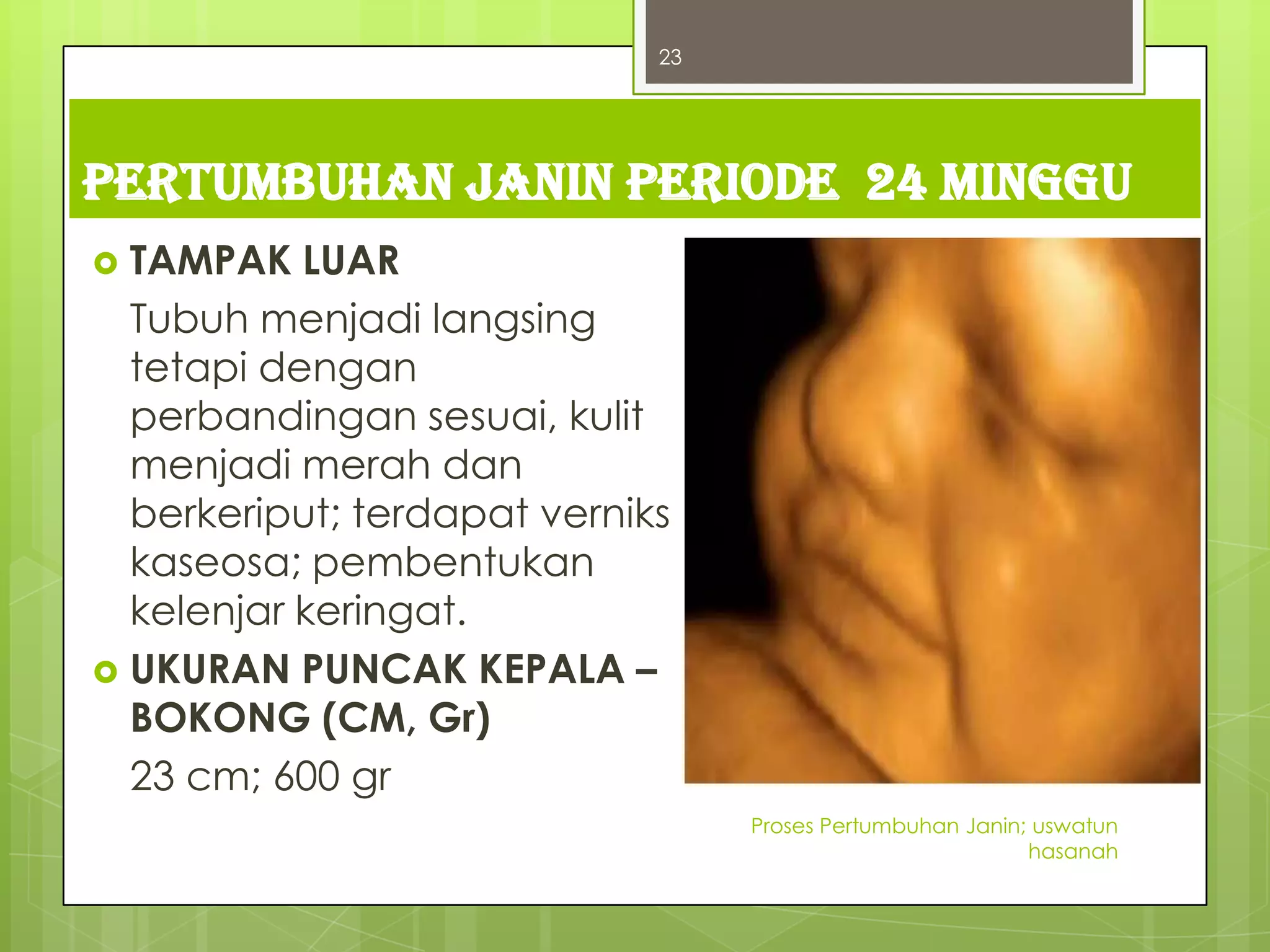 Proses pertumbuhan janin (fetal periode) | PPT