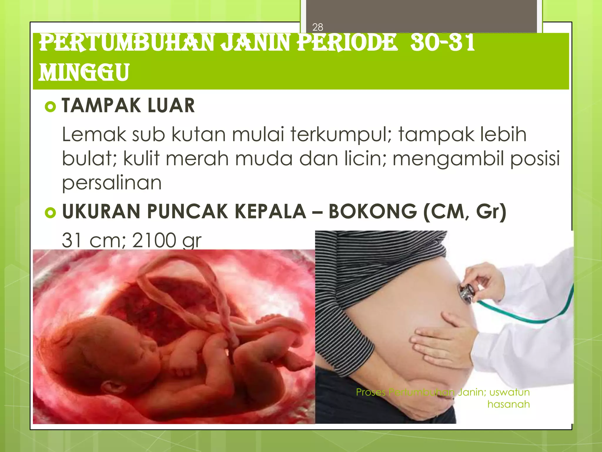 Proses pertumbuhan janin (fetal periode) | PPT