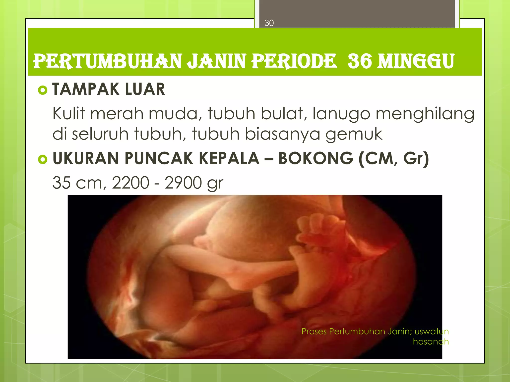 Proses pertumbuhan janin (fetal periode) | PPT