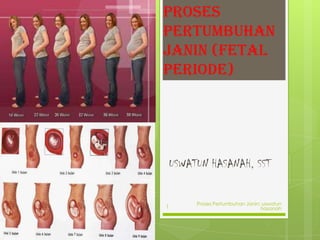 Proses pertumbuhan janin (fetal periode) | PPT