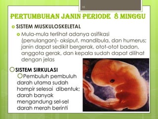 Proses pertumbuhan janin (fetal periode) | PPT