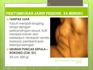 Proses pertumbuhan janin (fetal periode) | PPT