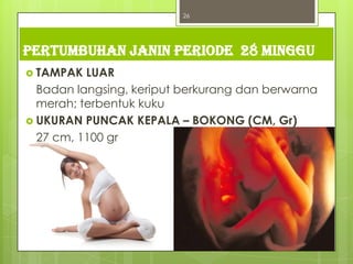 Proses pertumbuhan janin (fetal periode) | PPT