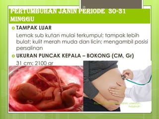 Proses pertumbuhan janin (fetal periode) | PPT