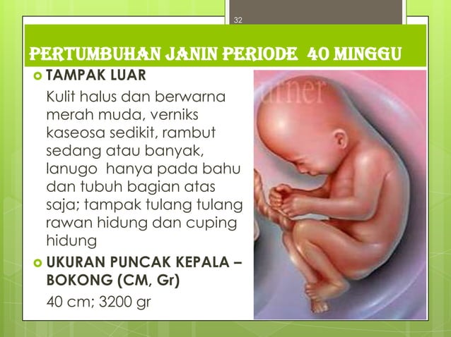 Proses pertumbuhan janin (fetal periode) | PPT