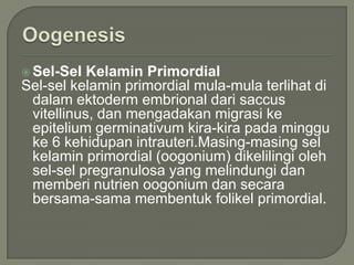 Proses terjadinya manusia berdasarkan IPTEK | PPTX