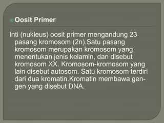 Proses terjadinya manusia berdasarkan IPTEK | PPTX
