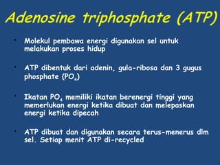 PROSES TUMBUHAN DAN DAUR HIDUP TUMBUHAN.ppt