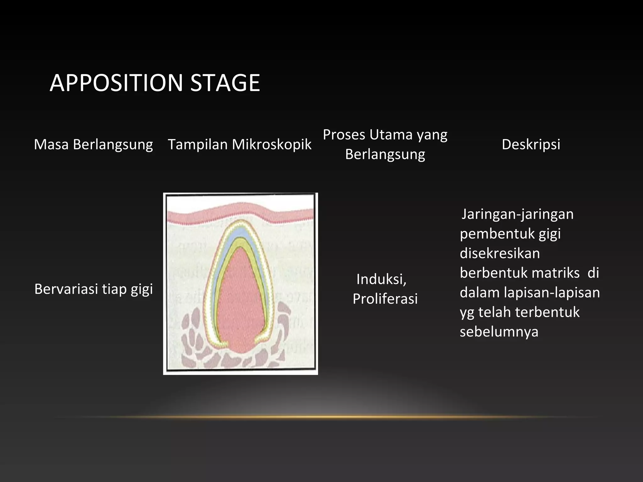 Proses Tumbuh Kembang Gigi | PPT