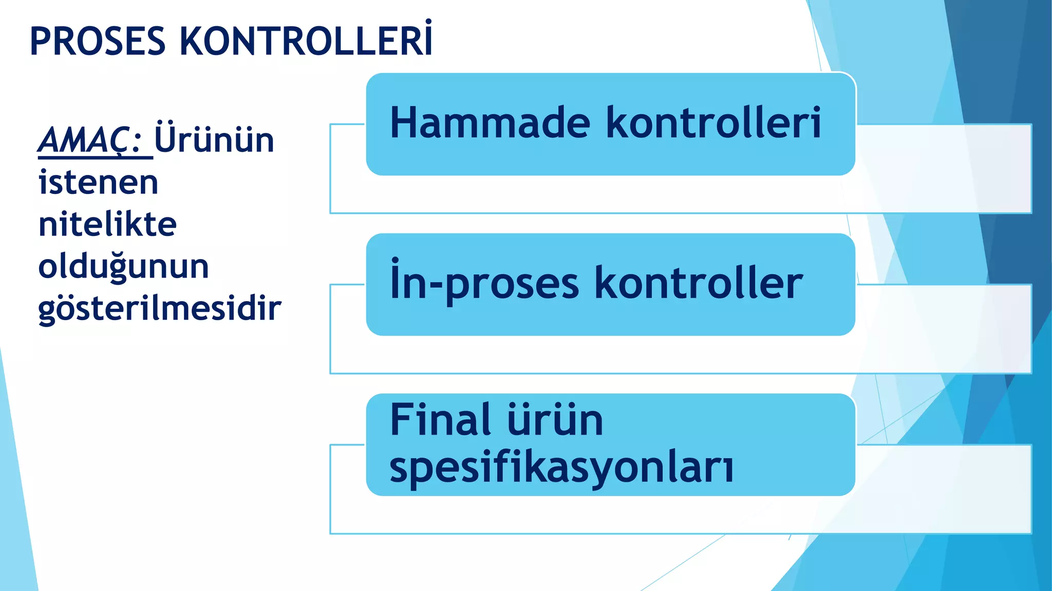 proses validasyonu I.pdf