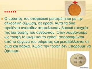 Πρόσφορο | PPT