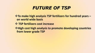 How to use TSP fertilizer manufacturing | PPTX
