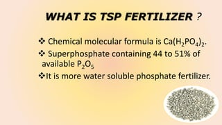 How to use TSP fertilizer manufacturing | PPTX