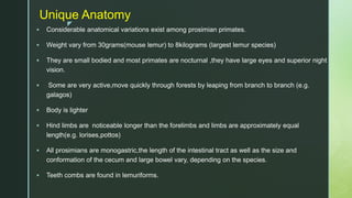 Prosimian.pptx