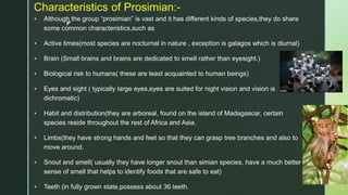 Prosimian.pptx