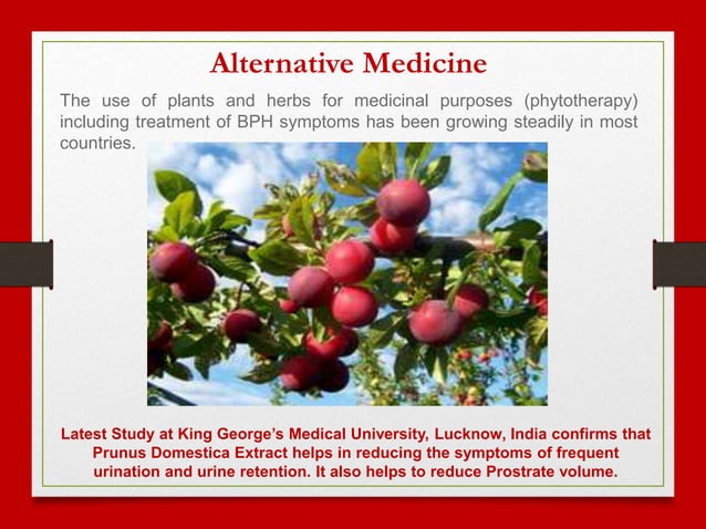 Prosman supports healthy prostate | PPTX | Herbs and Supplements ...