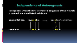 Prosodic Morphology | PPTX