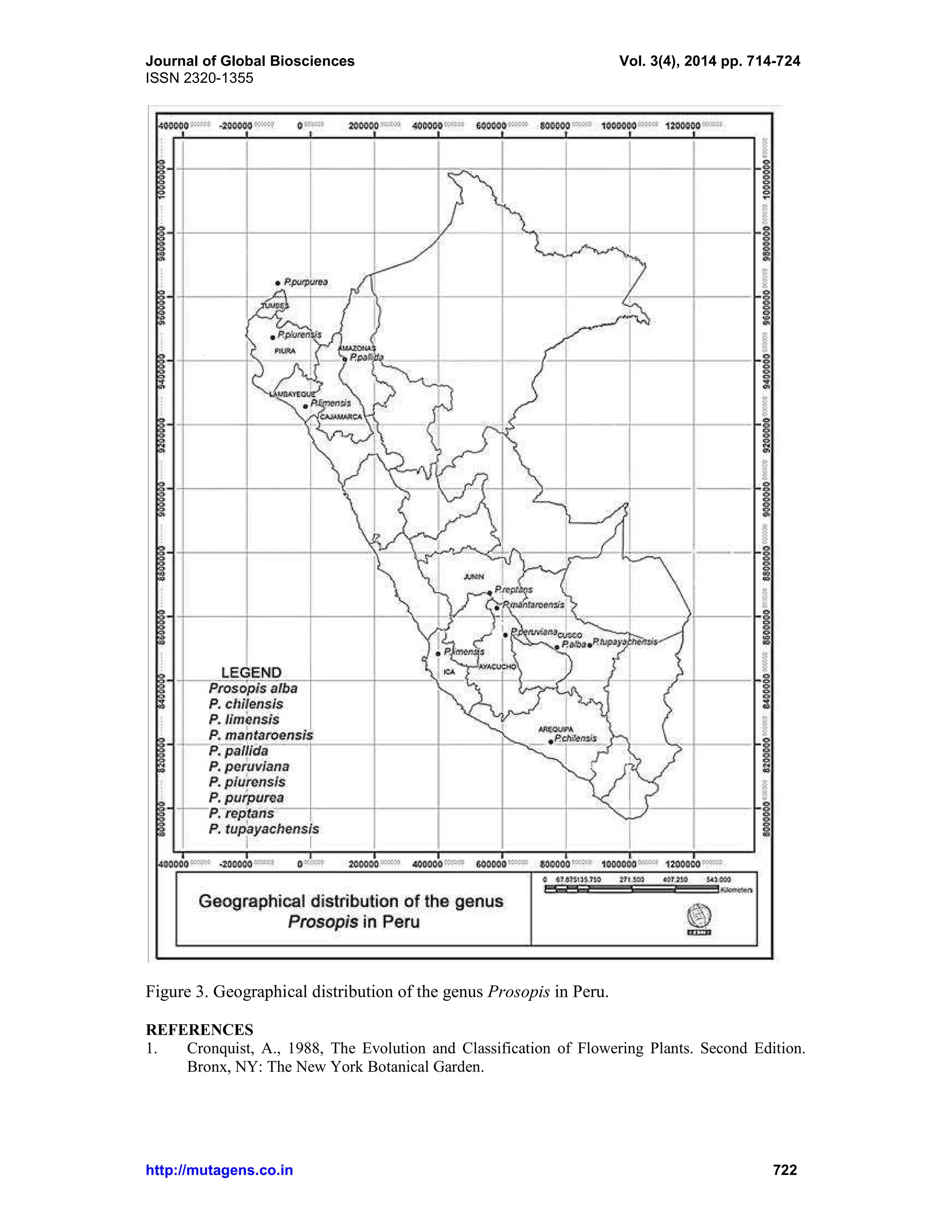 POLLEN MORPHOLOGY OF PERUVIAN PROSOPIS (FABACEAE) | PDF