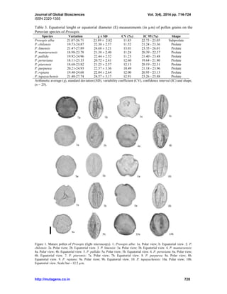 POLLEN MORPHOLOGY OF PERUVIAN PROSOPIS (FABACEAE) | PDF