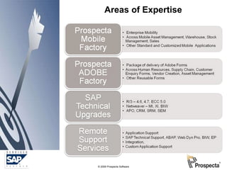 Prospecta SAP Partner | PPT