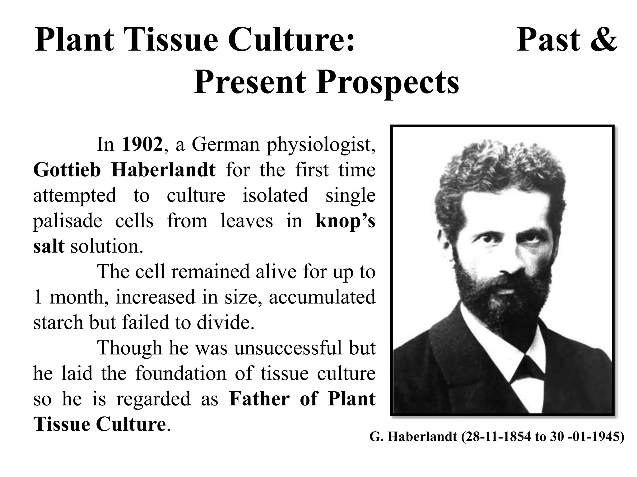 Prospect of tissue culture in india | PPTX