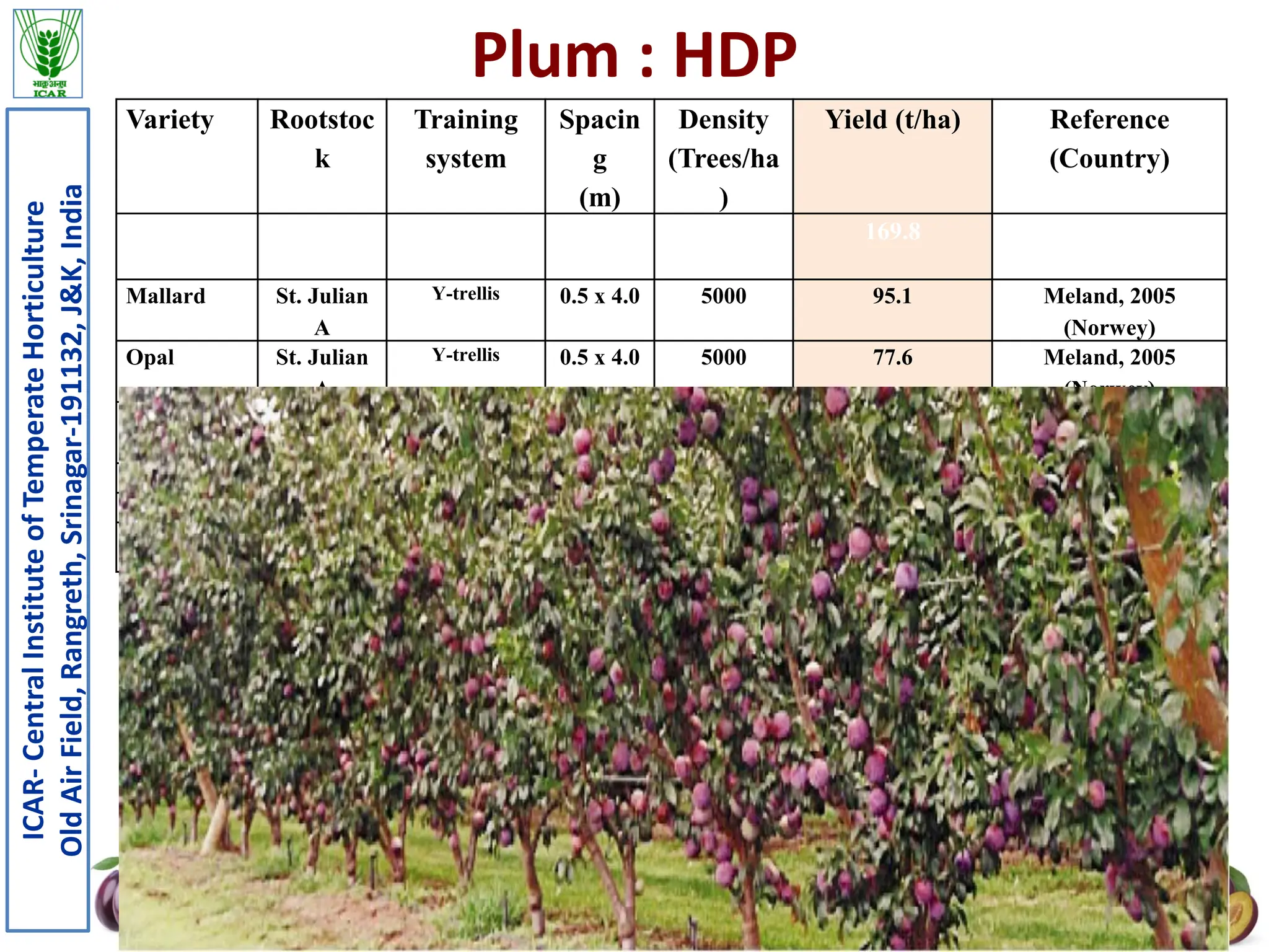 Prospects of Low Chill Temperate Fruits in the Hill Ecosystems of NEH ...