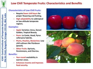 Prospects of Low Chill Temperate Fruits in the Hill Ecosystems of NEH ...