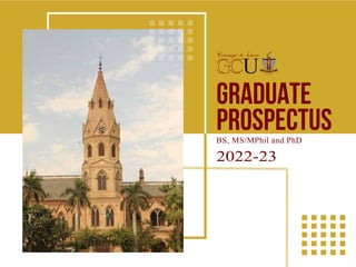 Graduation practices in Engineering Education | PDF