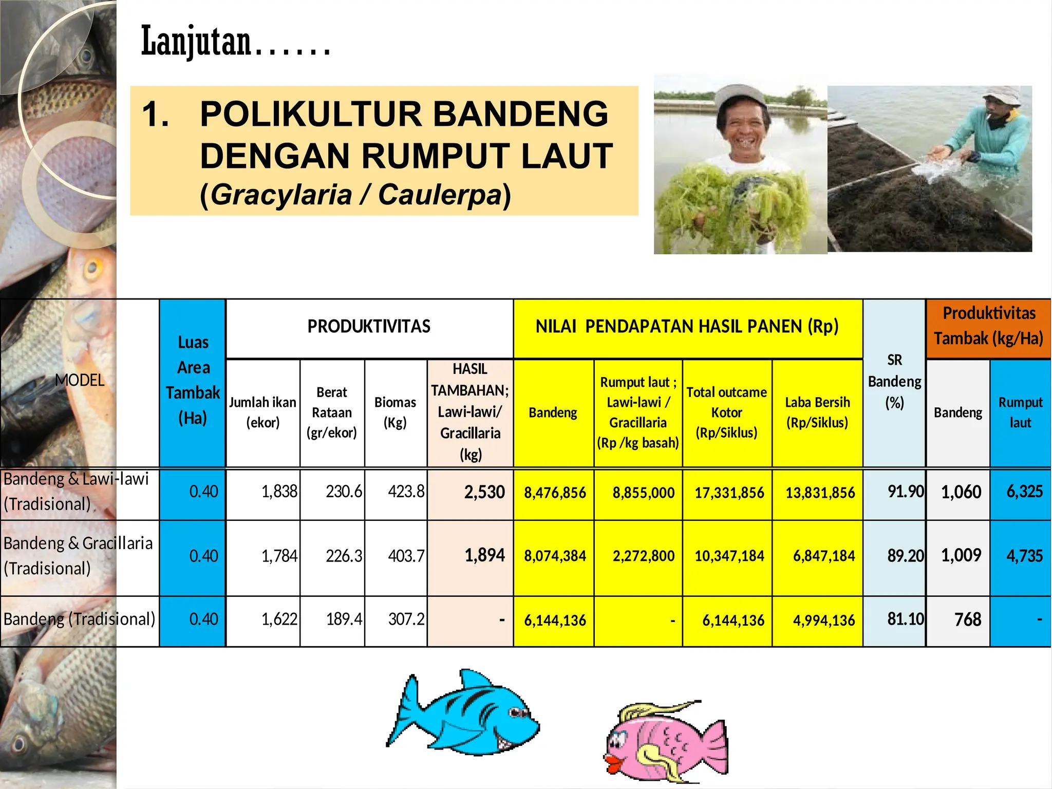 Teknologi unggulan Prospek Bisnis Lawi-lawi (caulerpa spp) | PPSX