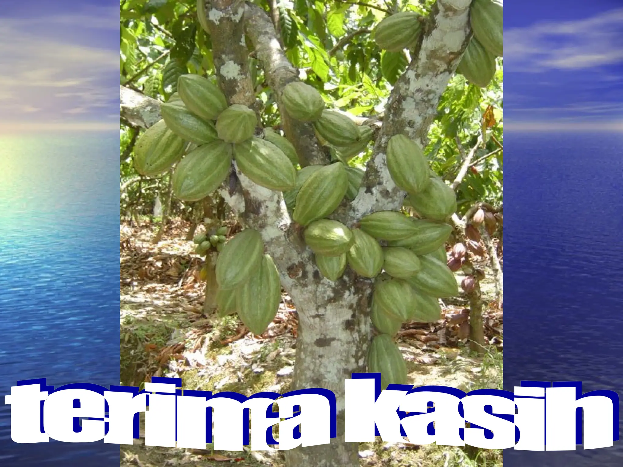 PROSPEK INDUSTRI Pengolahan KAKAO di Indonesia.ppt