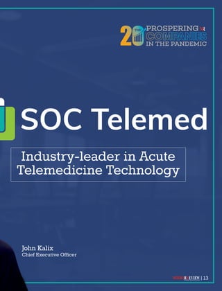 The 20 Prospering Companies in the Pandemic | PDF