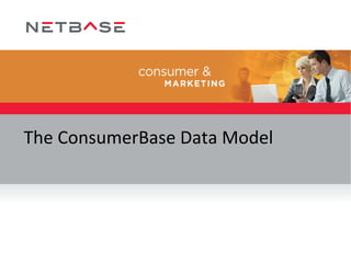 NetBase API Presentation | PPT
