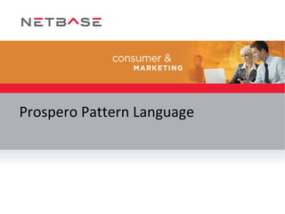 NetBase API Presentation | PPT