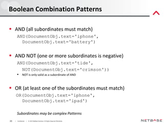 NetBase API Presentation | PPT