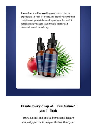 prostadine | PDF